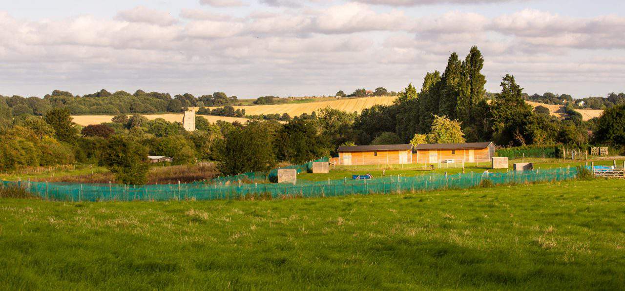 Secure Dog Field | Sittingbourne | Canine Connection